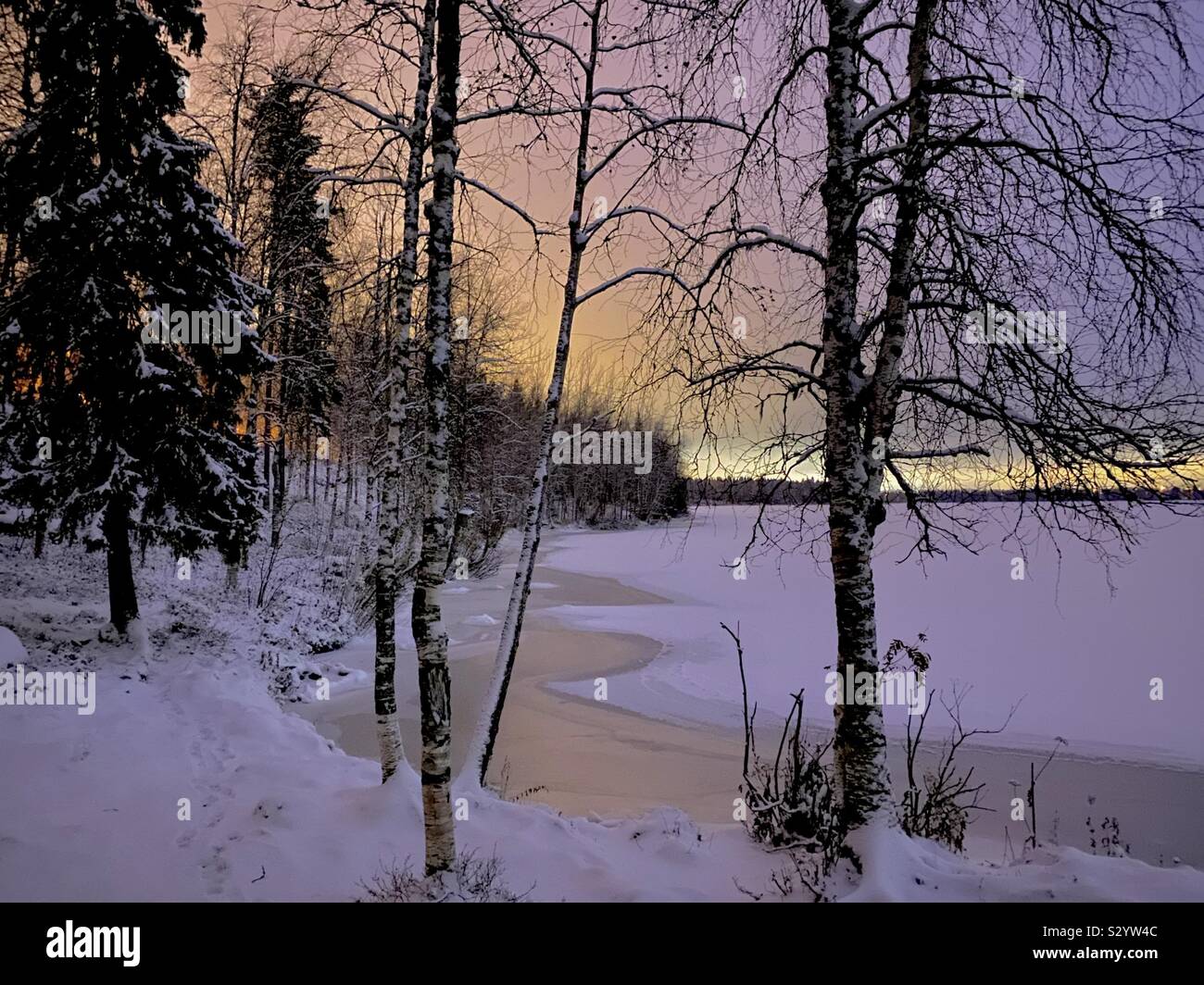 Freezing lake with snowy tree shoreline, evening coloured sky Stock ...