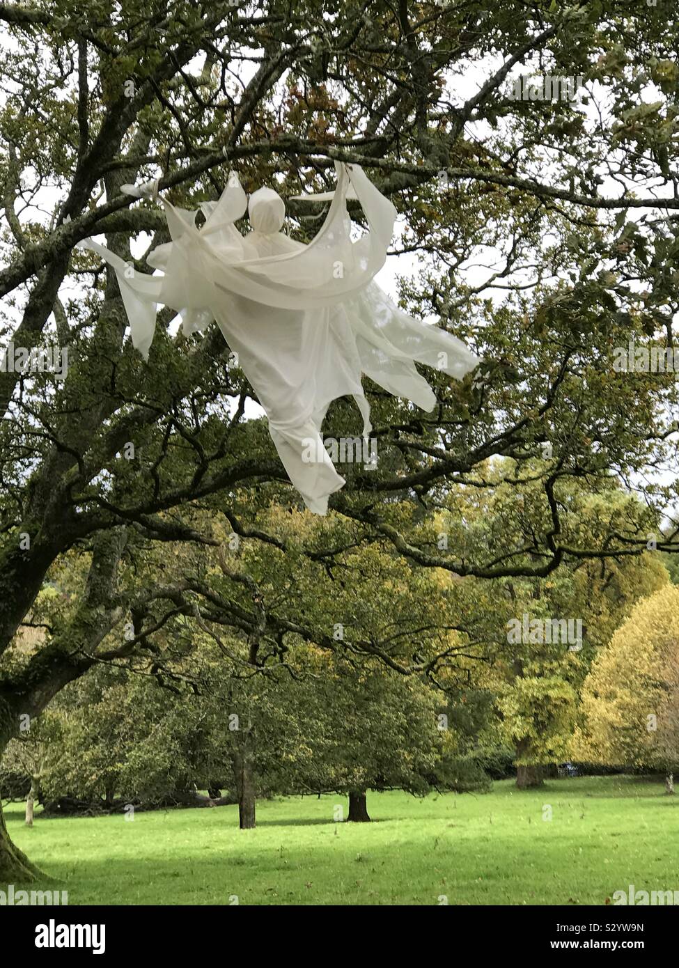 Decoration trees hi-res stock photography and images - Alamy