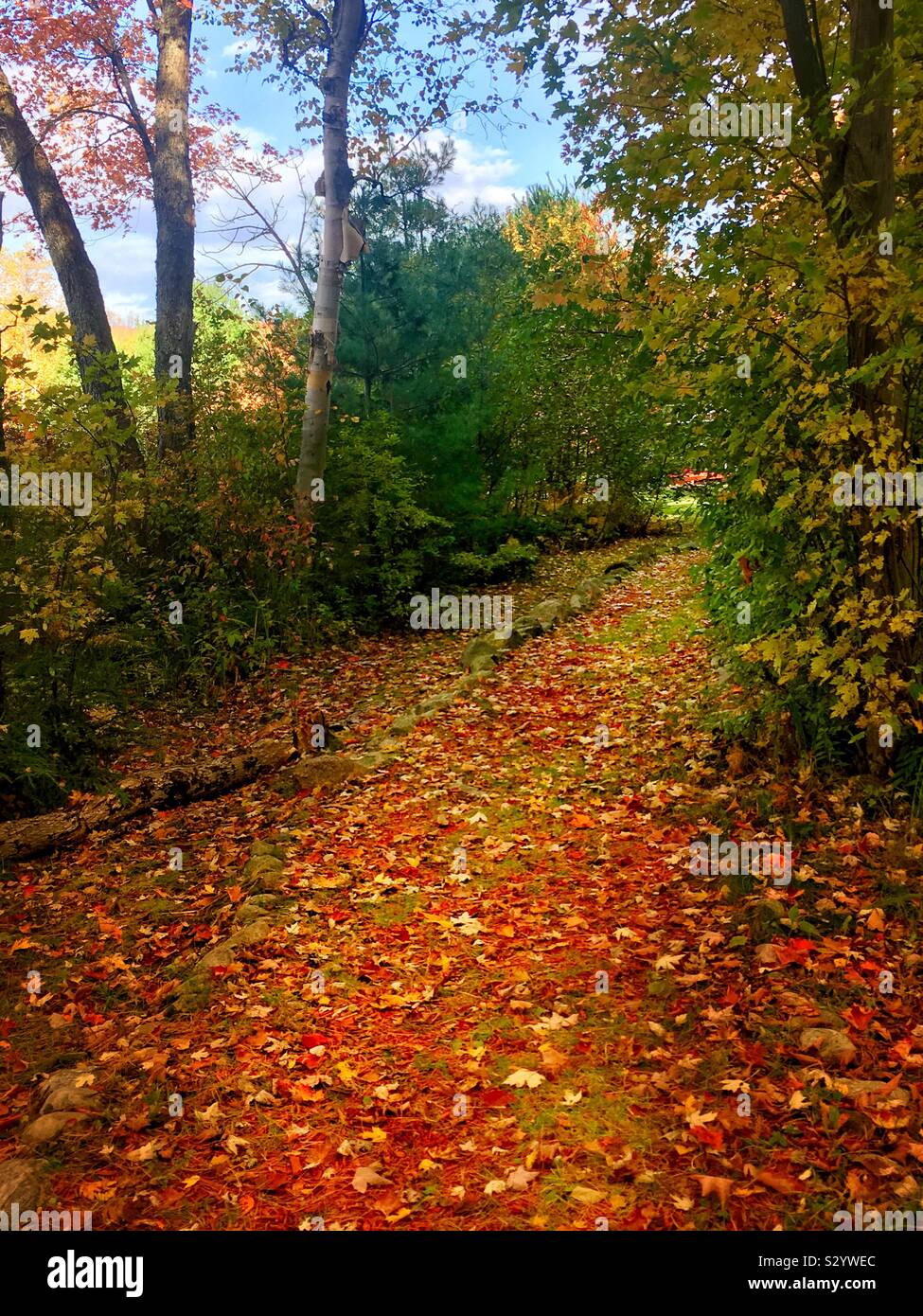 Autumn’s colorful path, impressions Stock Photo - Alamy