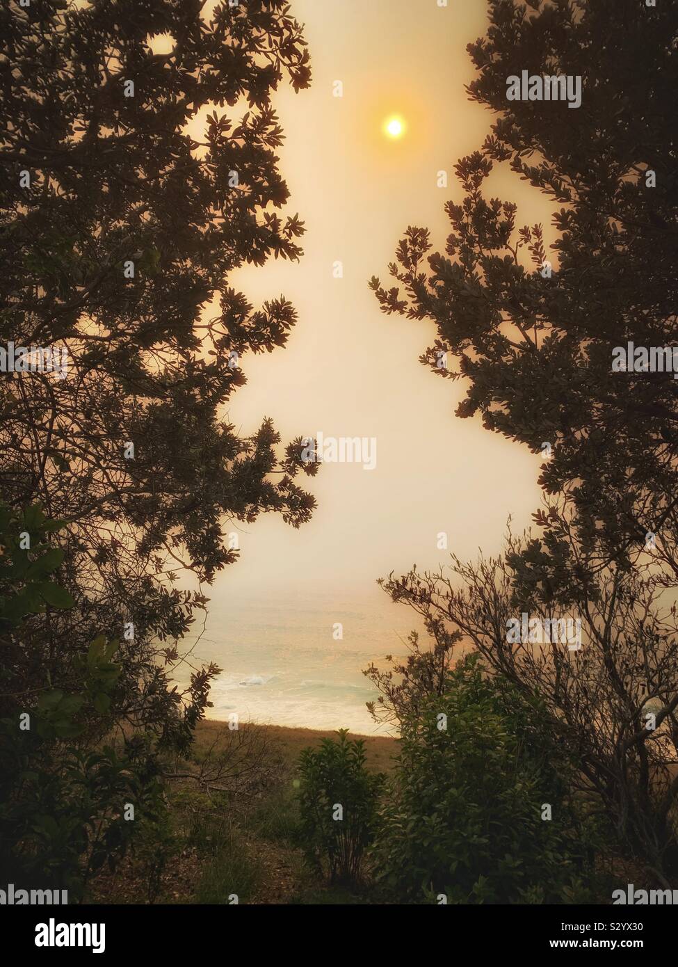 Smoke from bush fires giving the sun an eerie orange glow reflected in ...