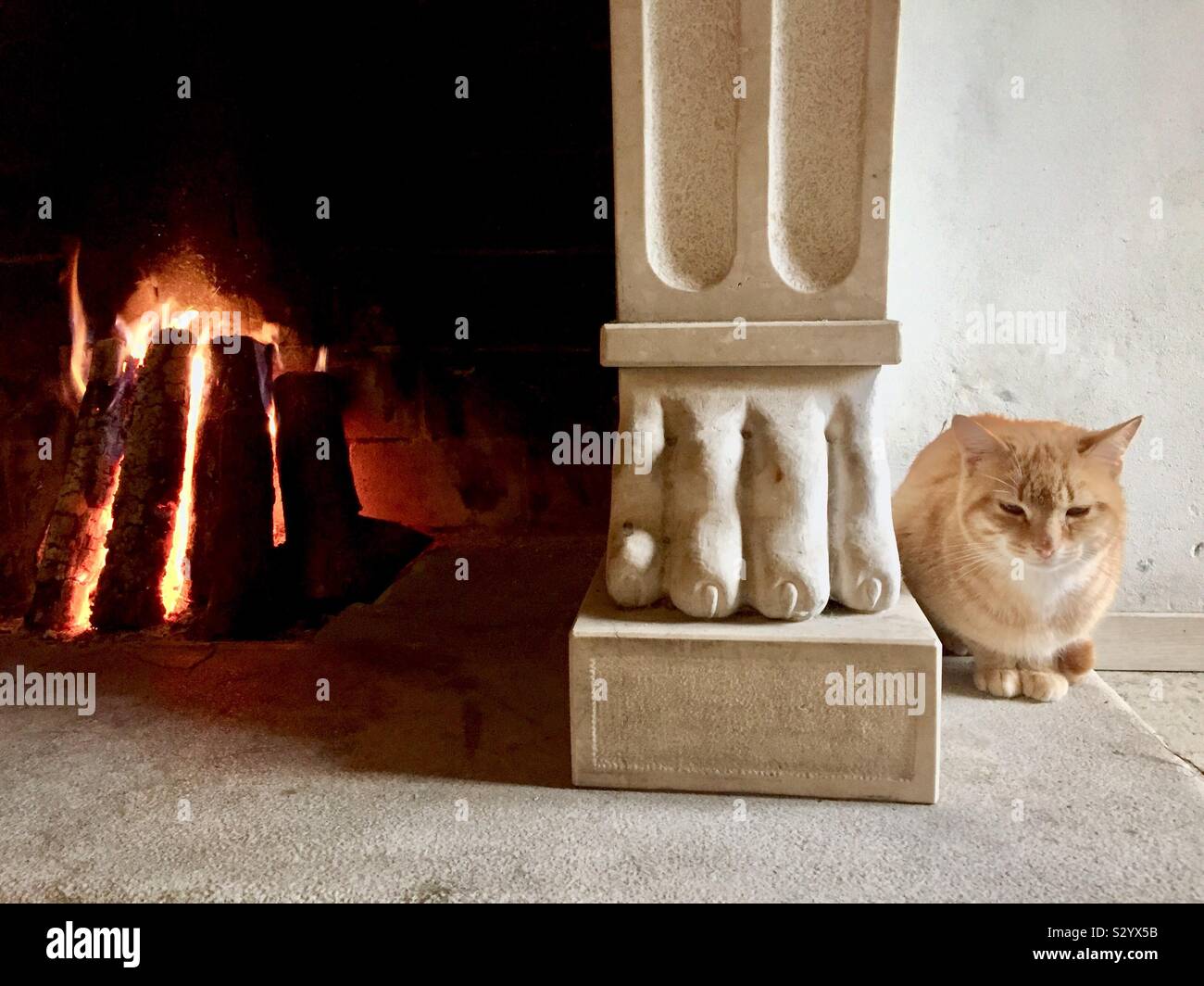 Cat resting near fire Stock Photo - Alamy