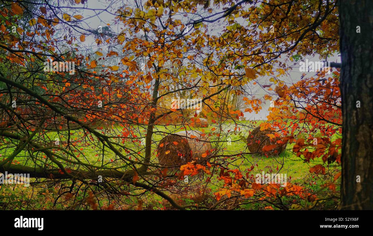 Fall harvest time hi-res stock photography and images - Alamy