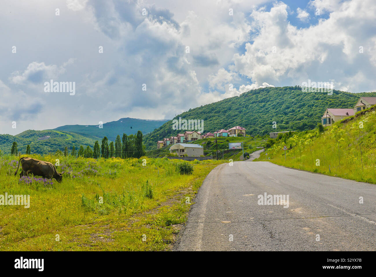 Beautiful and greenery village Stock Photo - Alamy