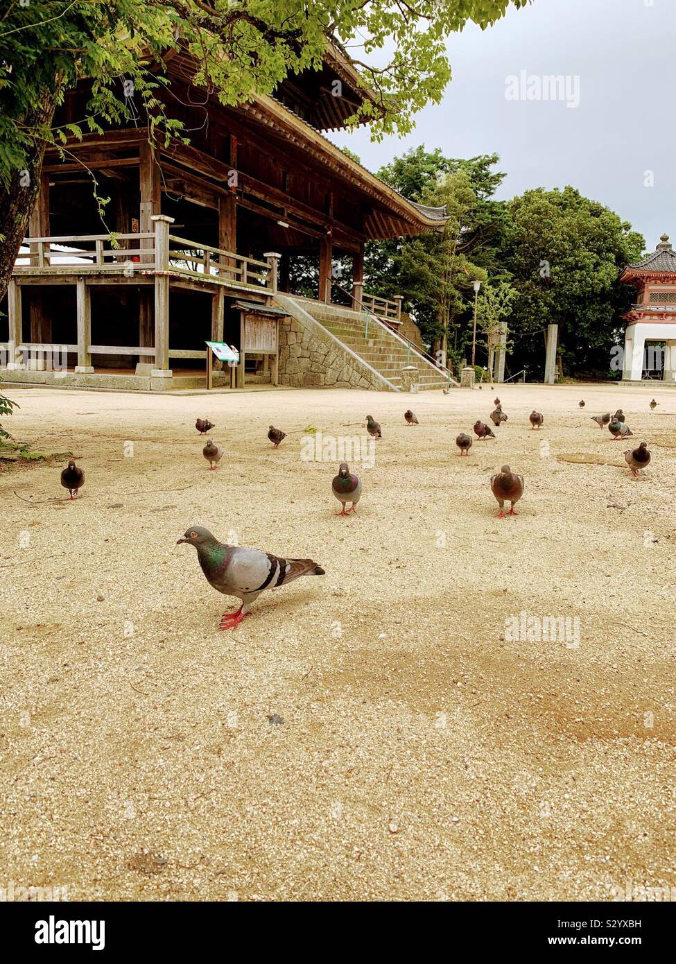 Scary temple hi-res stock photography and images - Alamy