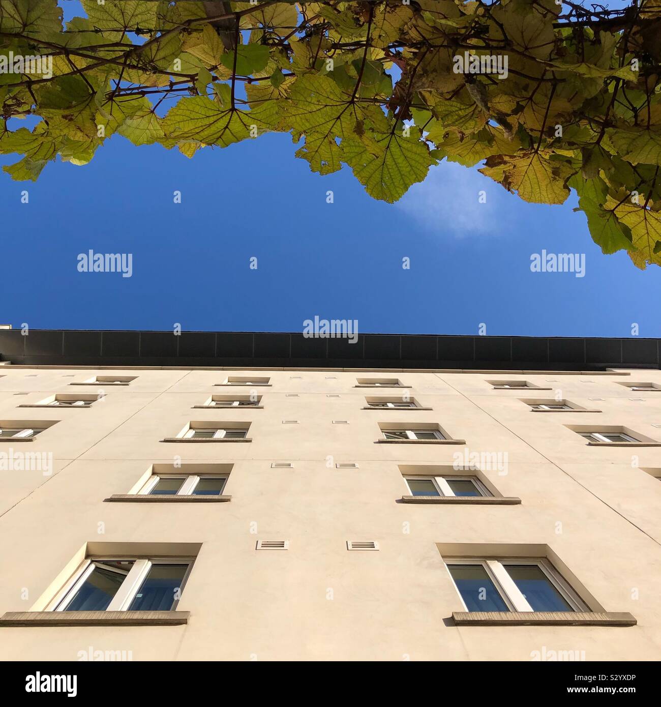 Looking up at tall building Stock Photo - Alamy