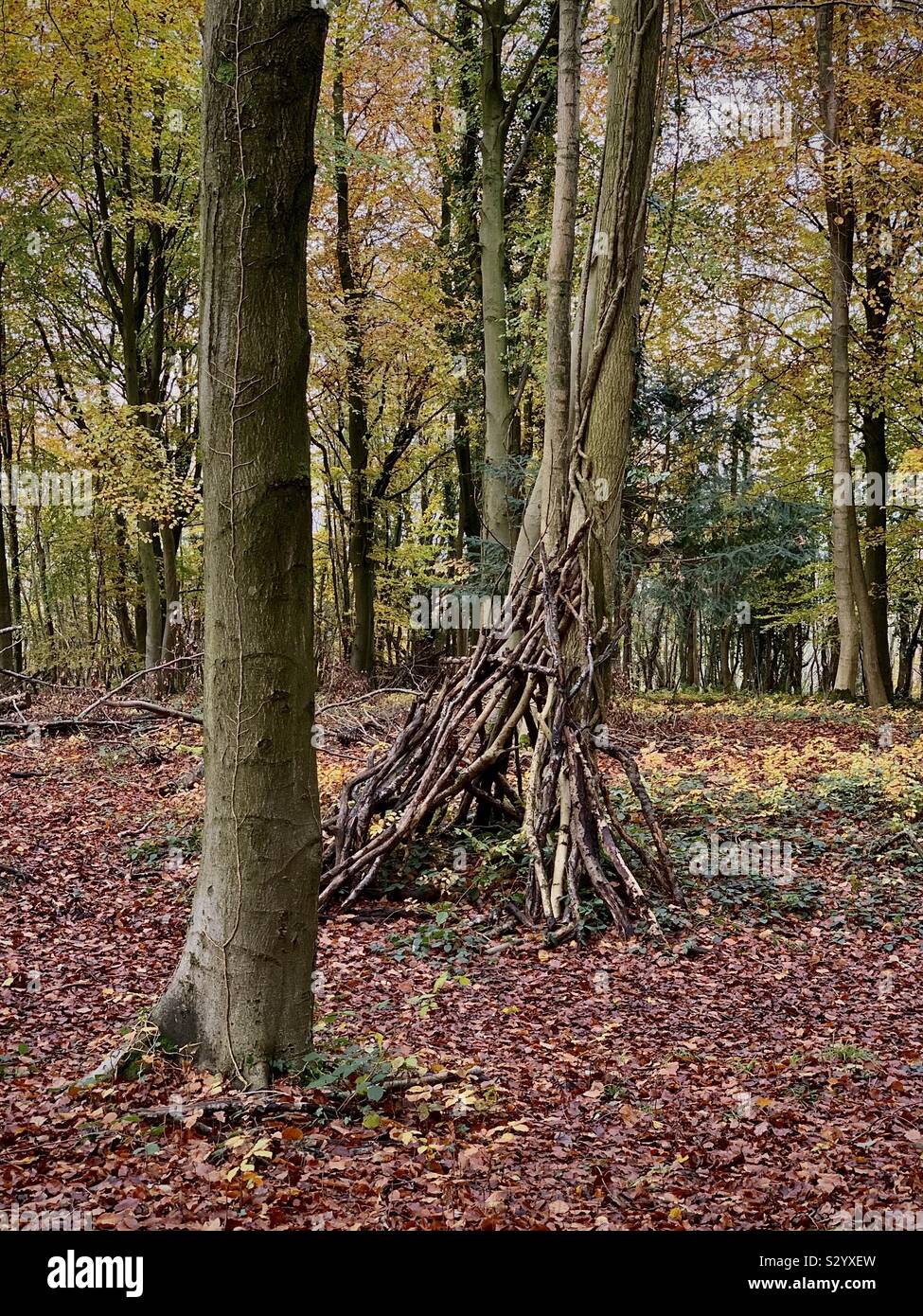 Children den woods hi-res stock photography and images - Alamy
