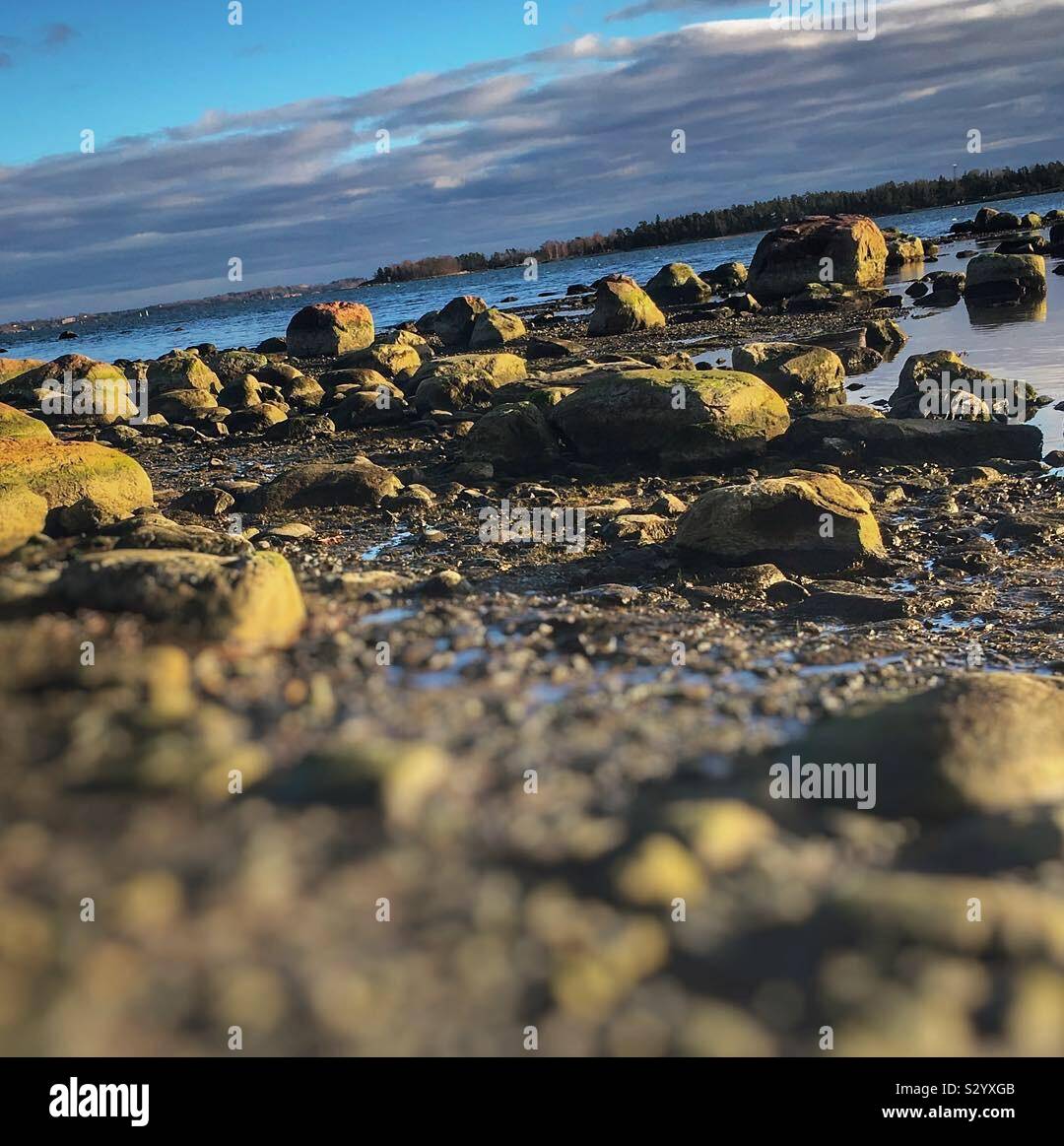 Rock at seashore Stock Photo - Alamy