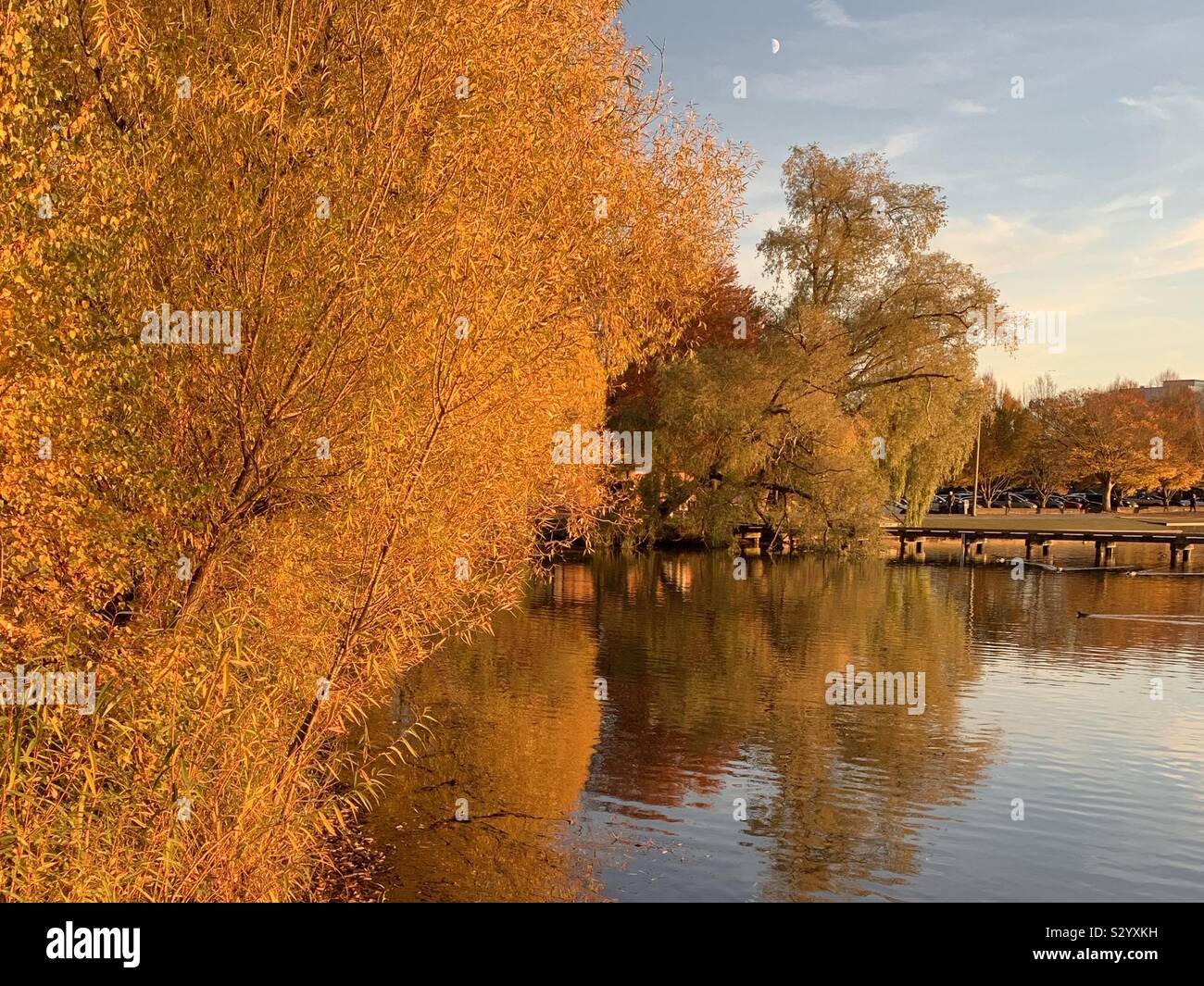 Green lake seattle hi-res stock photography and images - Alamy