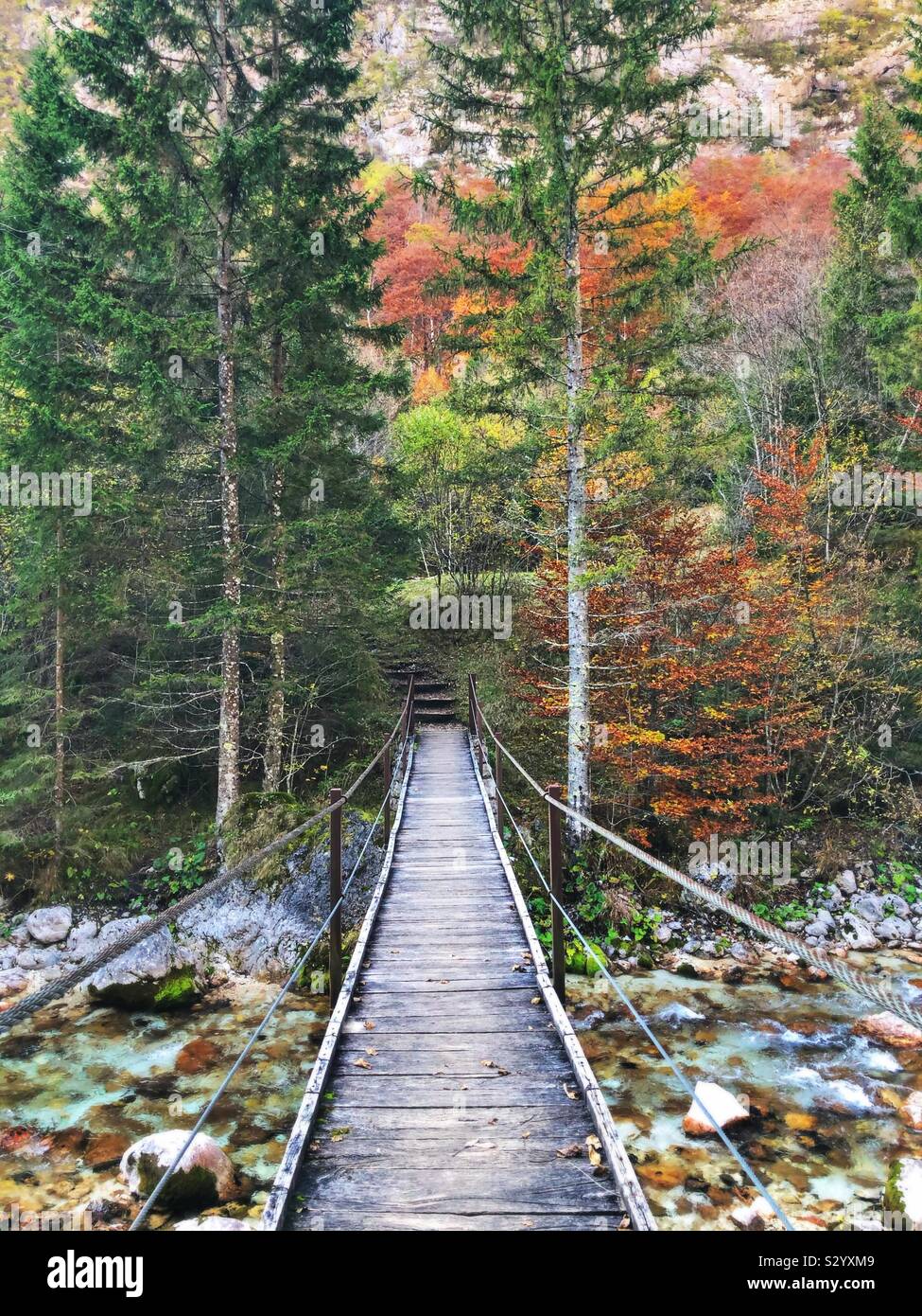 Hanging footbridge over the Soca River, Trenta, Slovenia Stock Photo ...