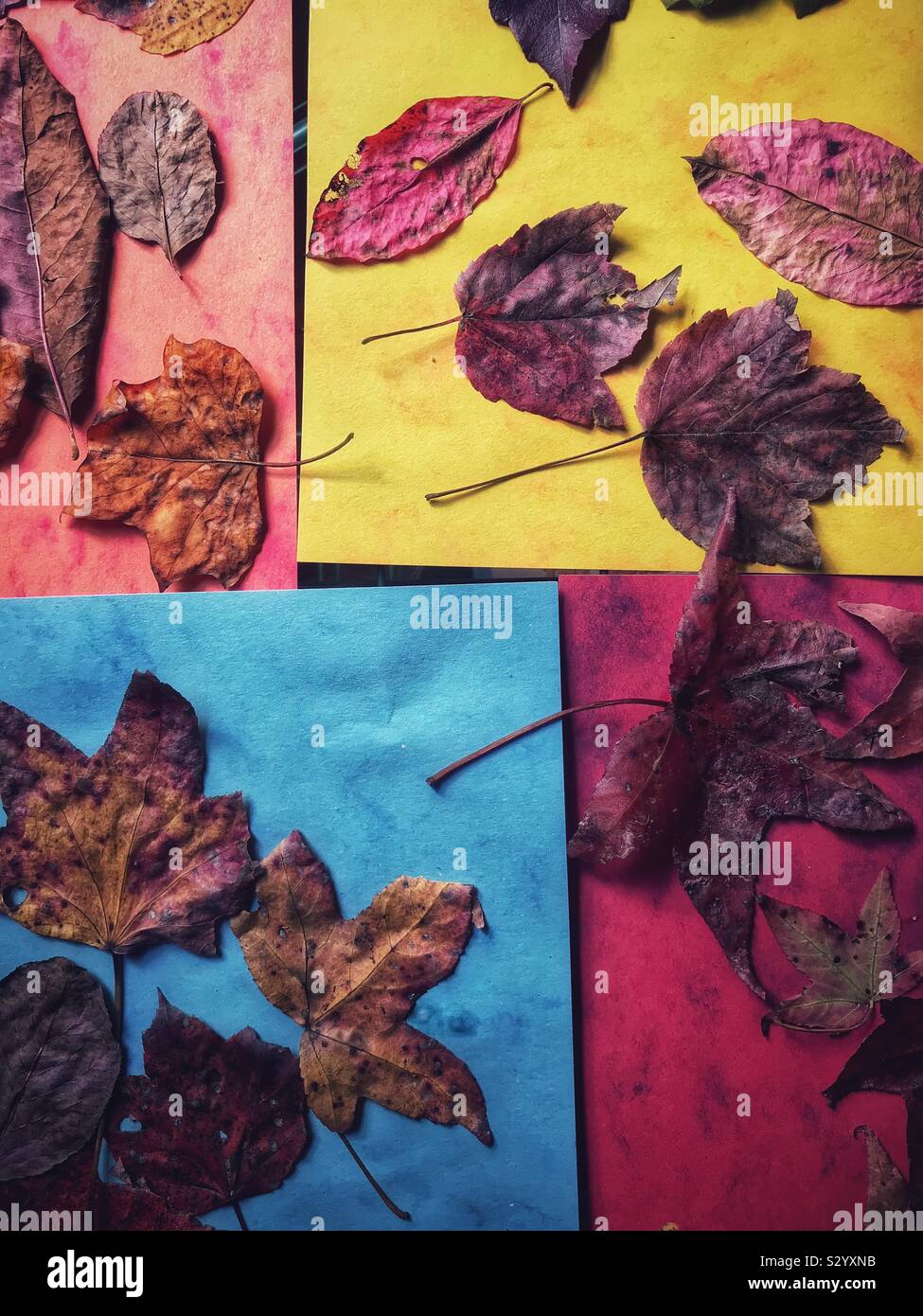 Leaves construction hi-res stock photography and images - Alamy