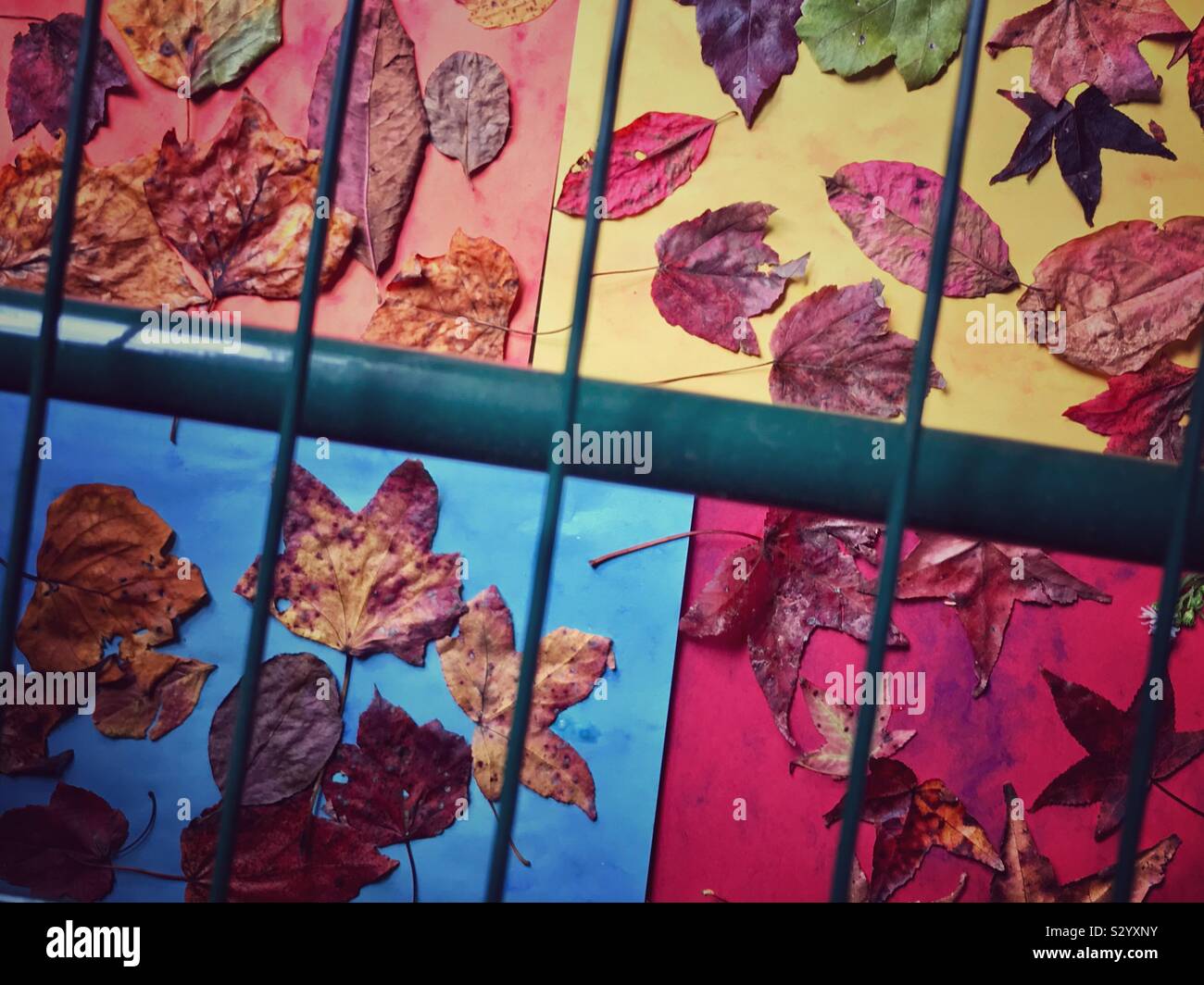 View through metal rack to child’s artwork of fall leaves below Stock ...