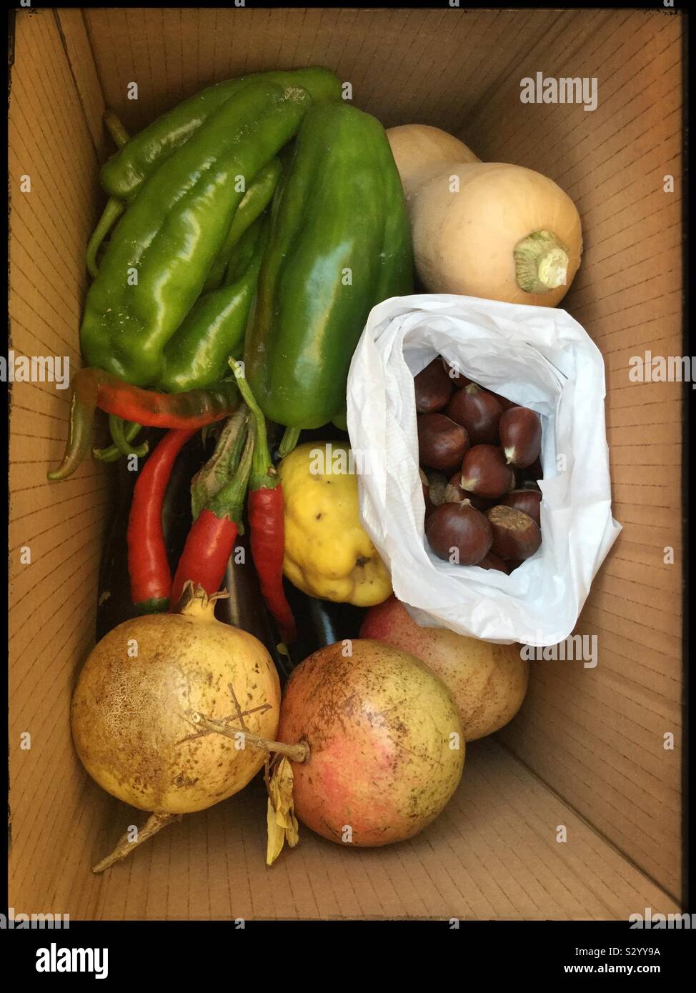 Fresh fruit and vegetables from the garden, Catalonia, Spain Stock ...