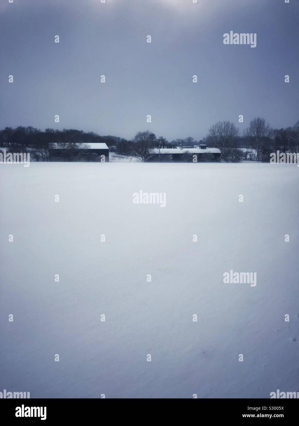Untouched snow hi-res stock photography and images - Alamy