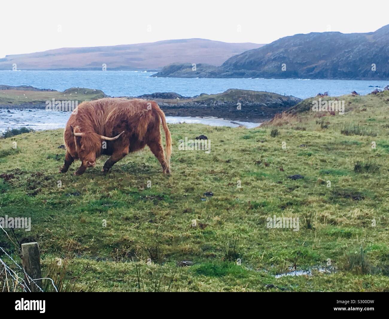 On the north coast 500 route hi-res stock photography and images - Alamy