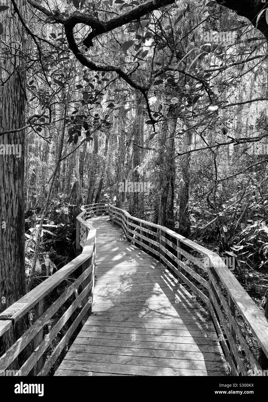 Boardwork hi-res stock photography and images - Alamy