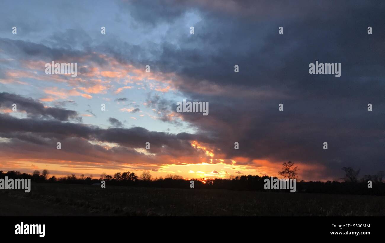 Unedited nature photo hi-res stock photography and images - Alamy