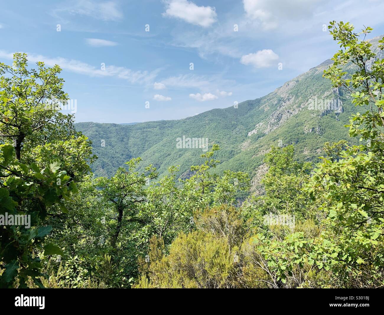 Green mountain hi-res stock photography and images - Alamy