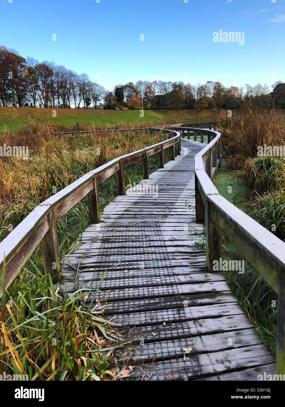 Frosted boardwalk hi-res stock photography and images - Alamy