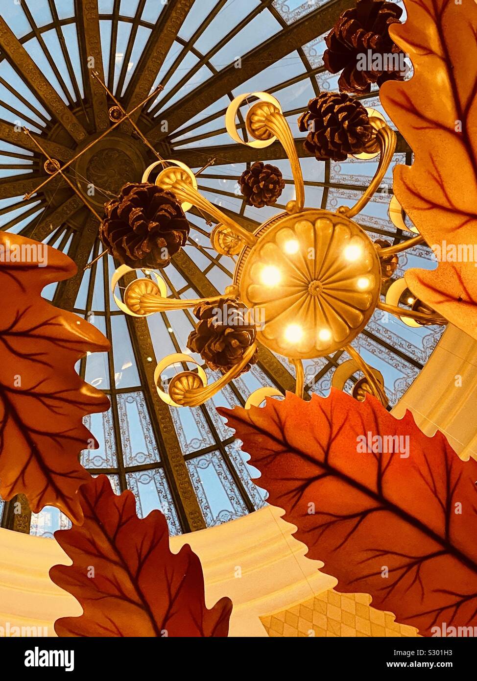 Fall themed hi-res stock photography and images - Alamy