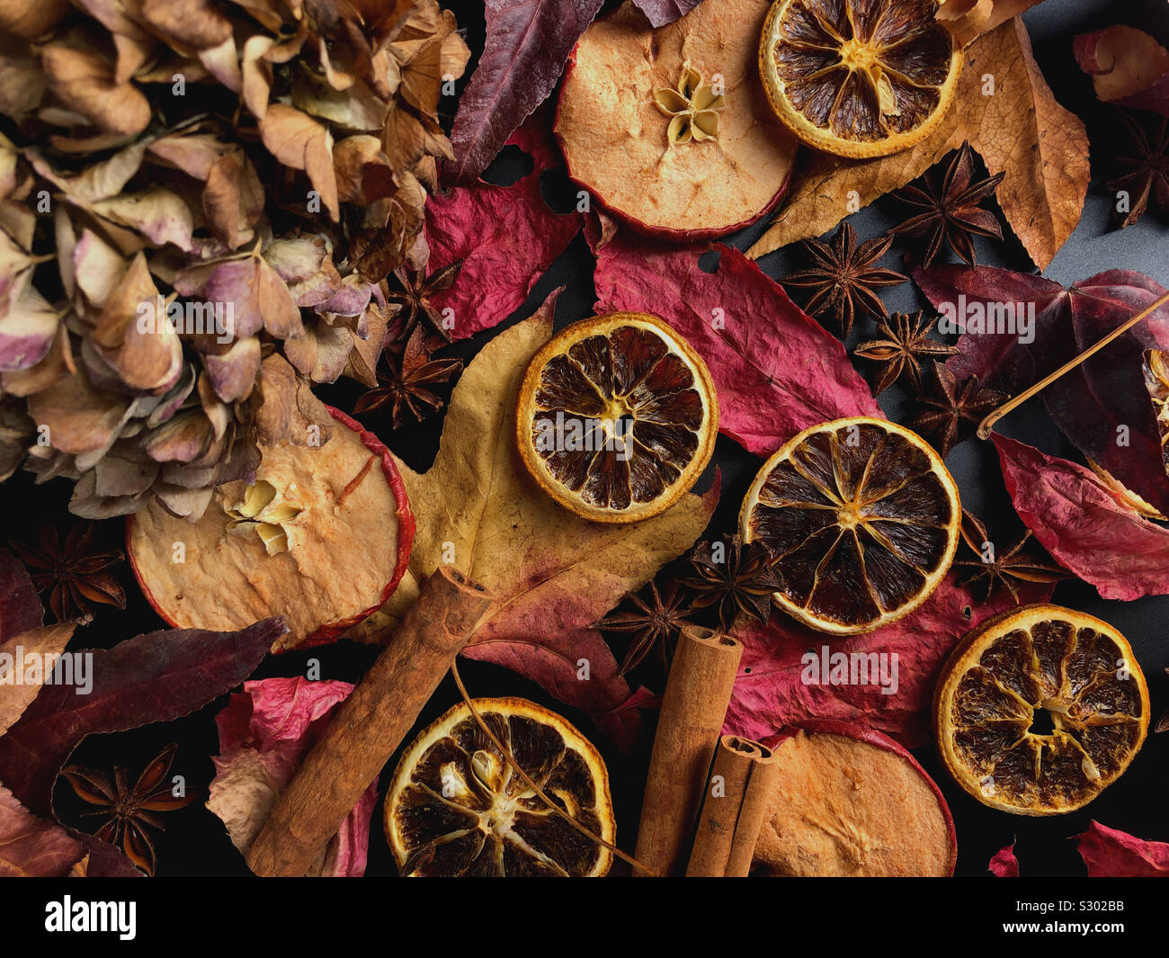 Various dried flowers hi-res stock photography and images - Alamy