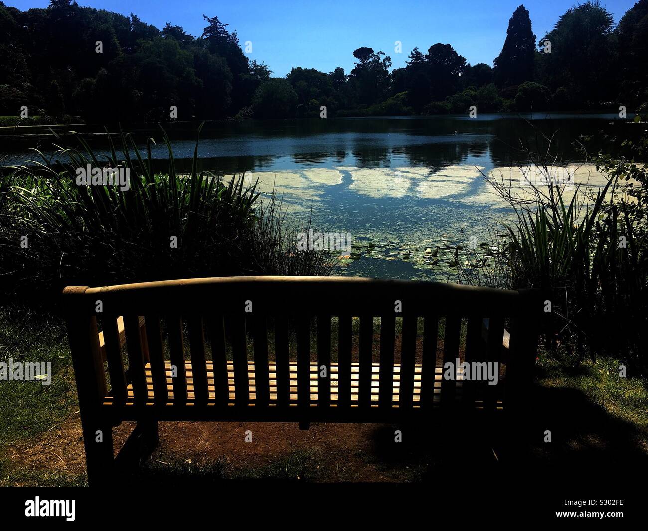 Bench overlooking lake in sunshine Stock Photo - Alamy