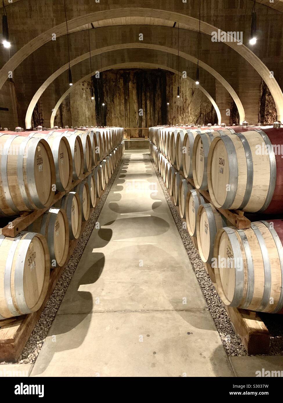 Inside a wine cellar with lots of barrels Stock Photo - Alamy