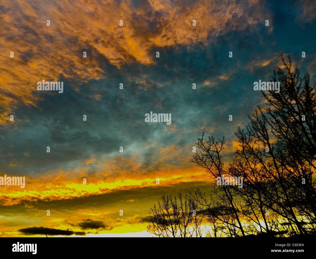 November 15 2019 hi-res stock photography and images - Alamy