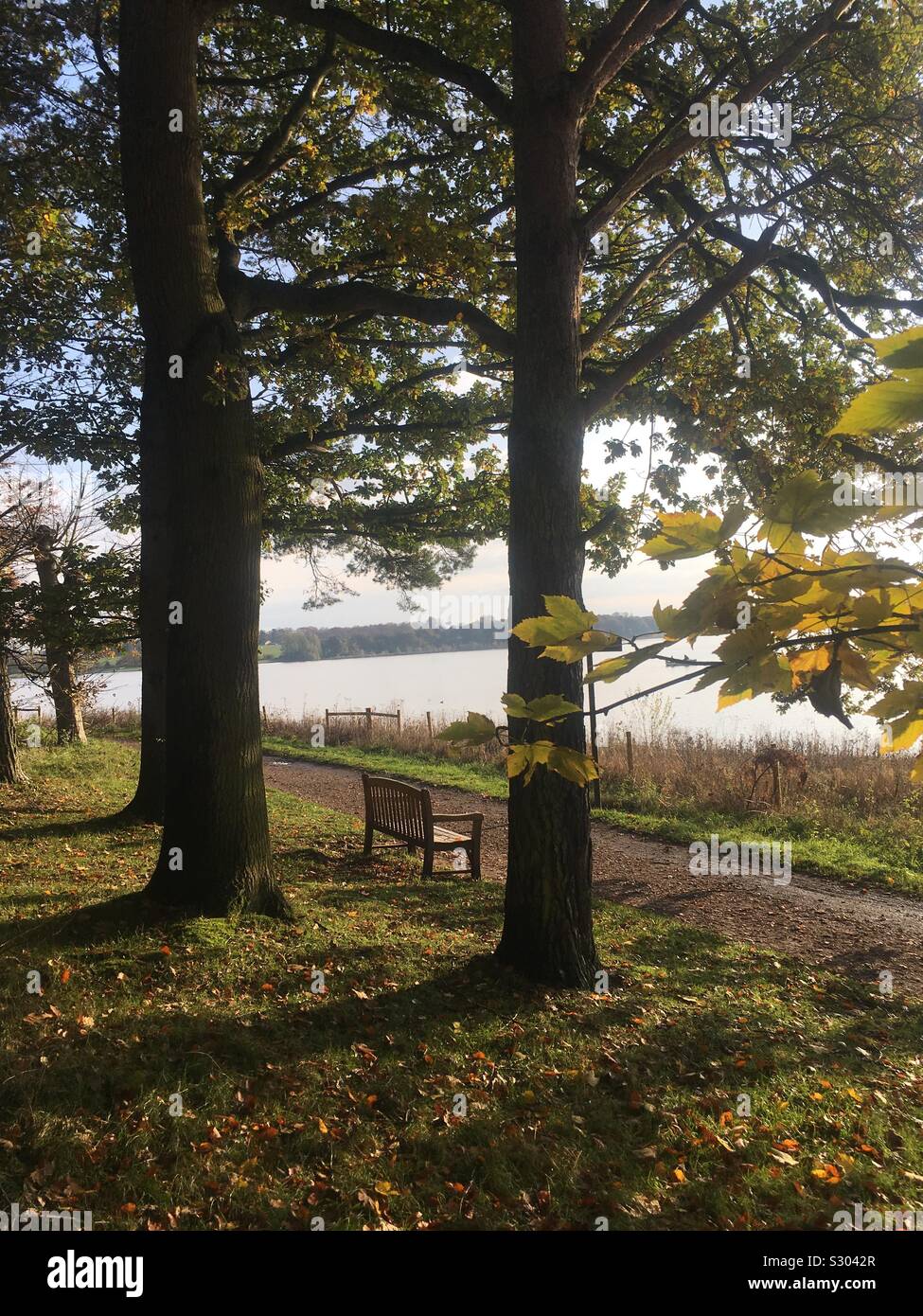 A bench between two trees Stock Photo - Alamy