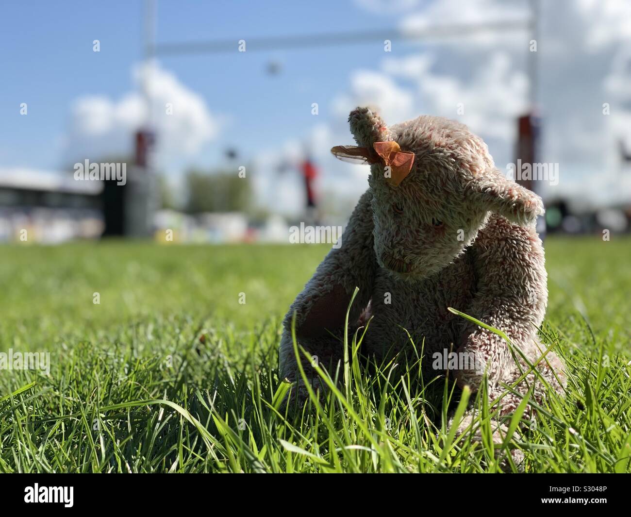 Teddy outside hi-res stock photography and images - Alamy