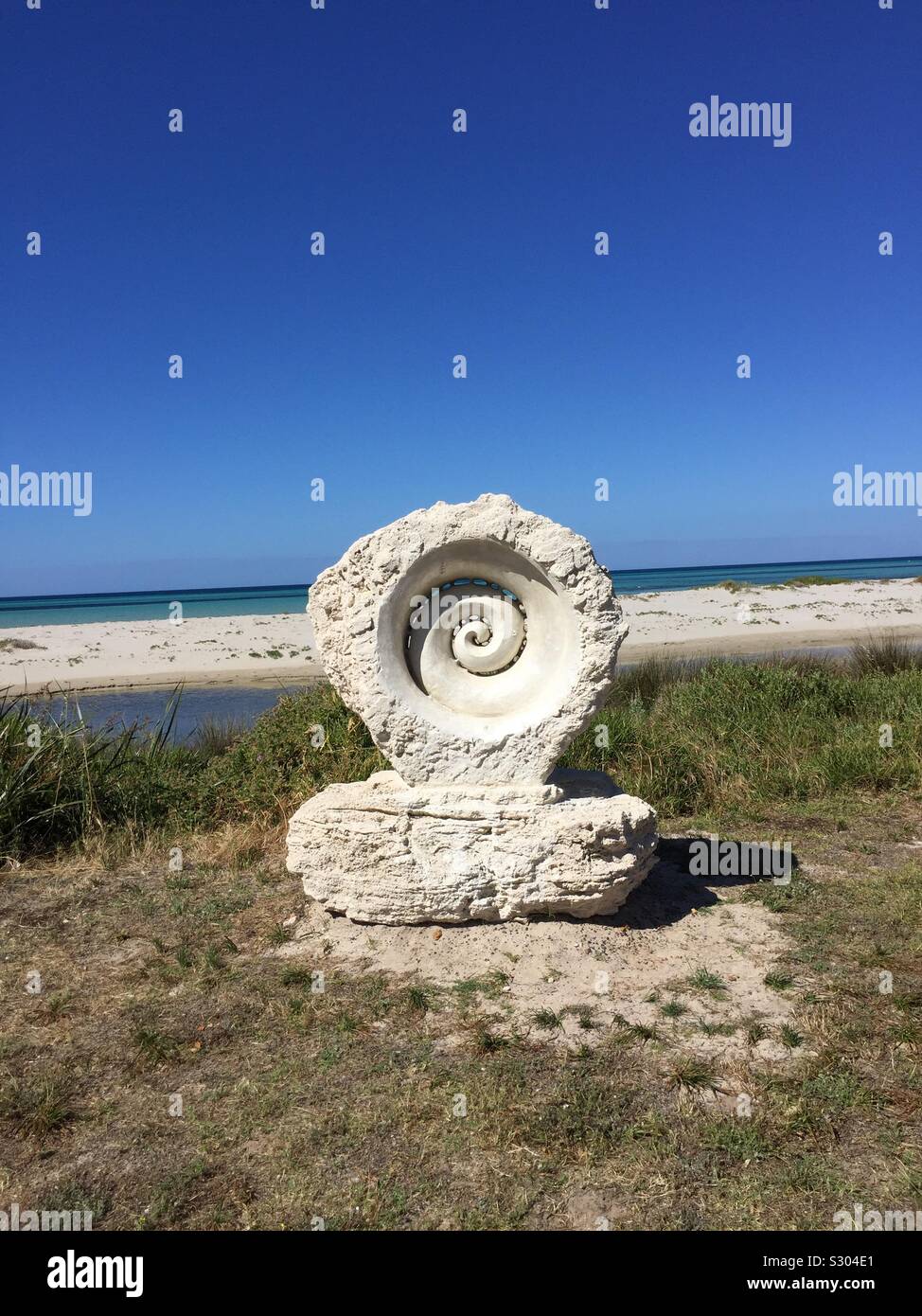 Australia shells seashells hi-res stock photography and images - Alamy
