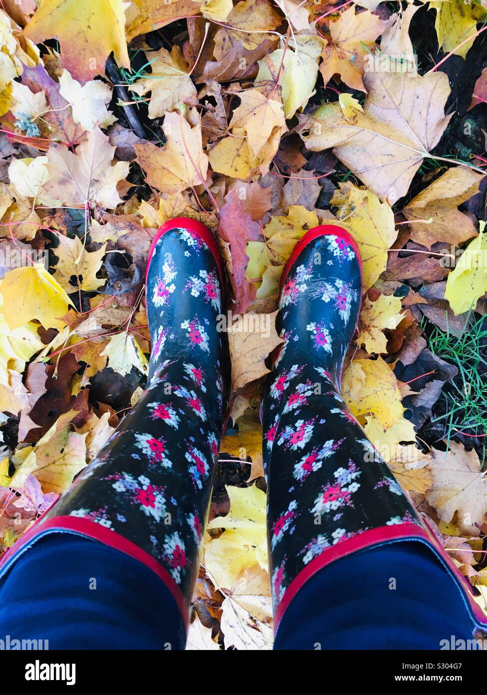 Stepping into Autumn Stock Photo - Alamy