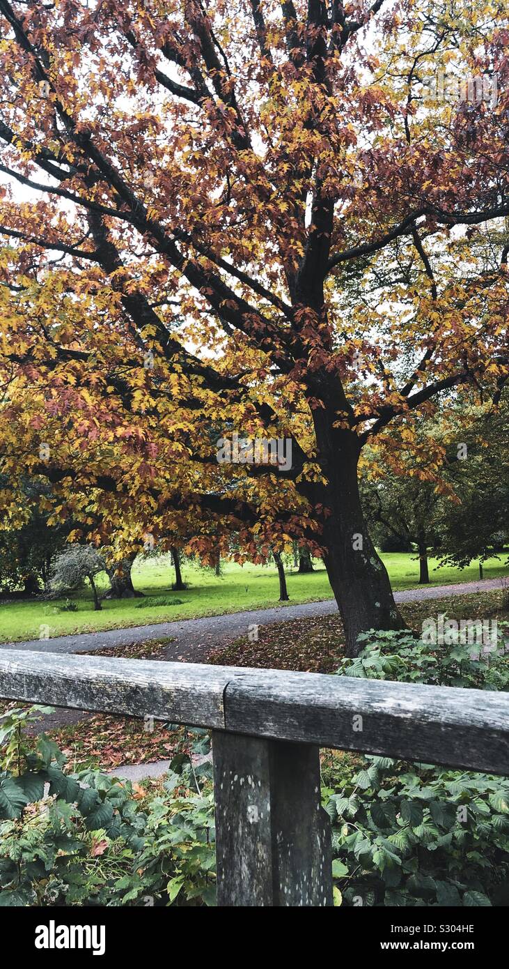 Welsh park hi-res stock photography and images - Alamy