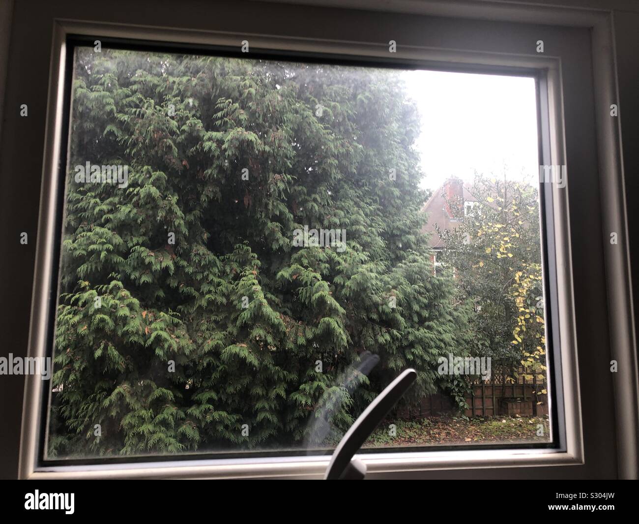 Looking through the window Stock Photo - Alamy