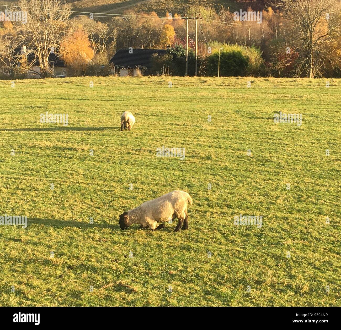 Kneeling down hi-res stock photography and images - Alamy