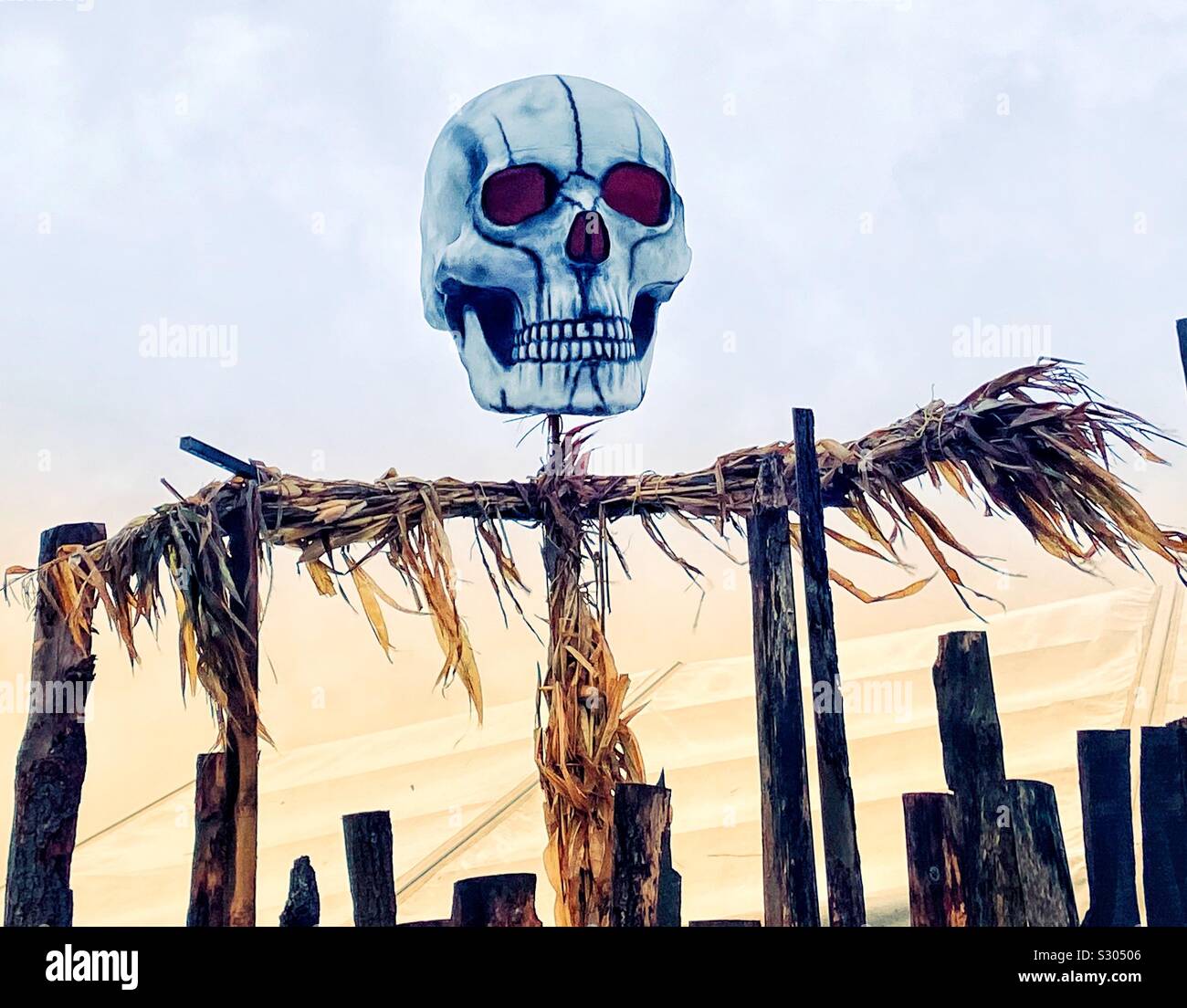 Skeleton spooky hi-res stock photography and images - Alamy