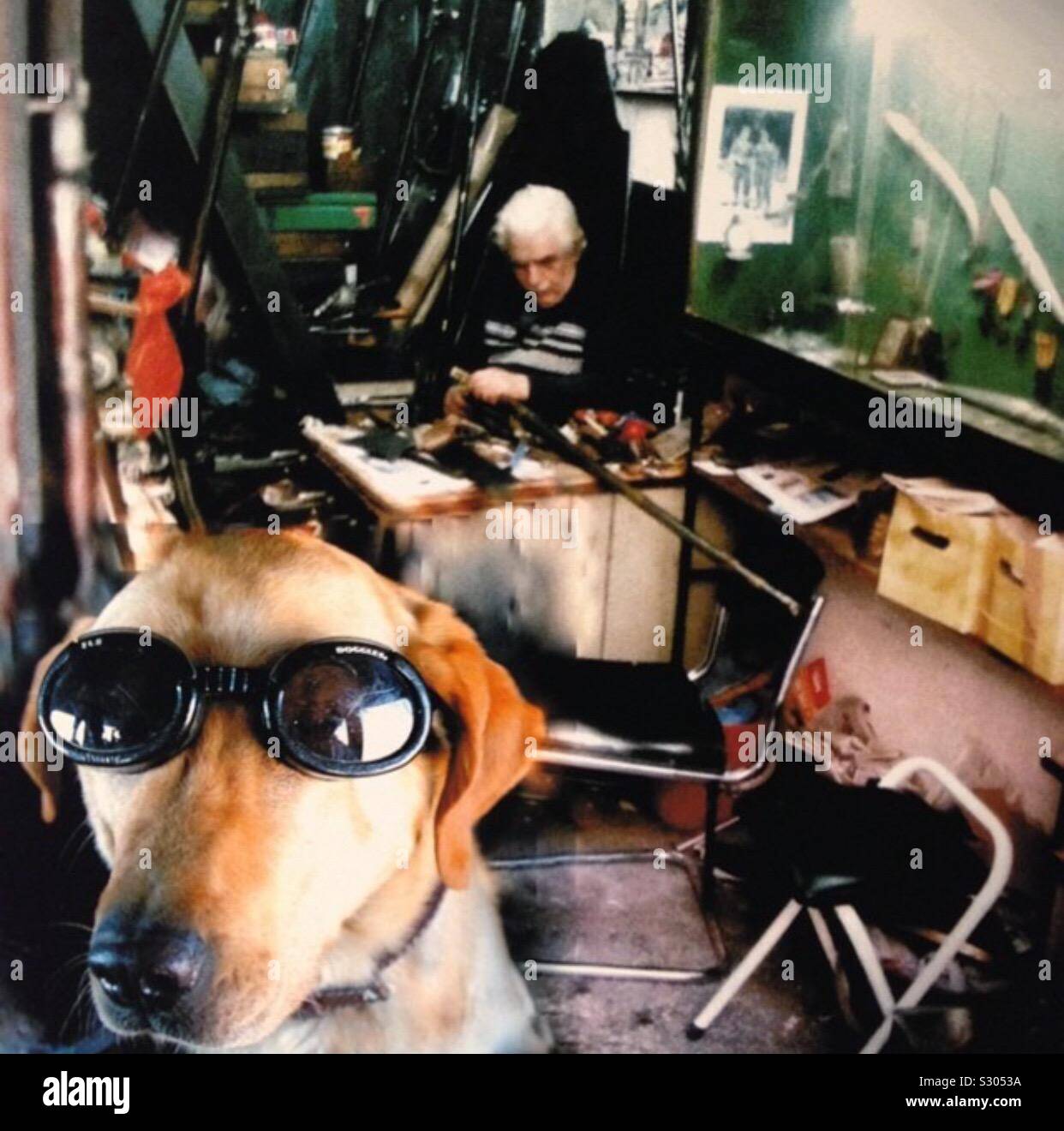 Athens dogs hi-res stock photography and images - Alamy