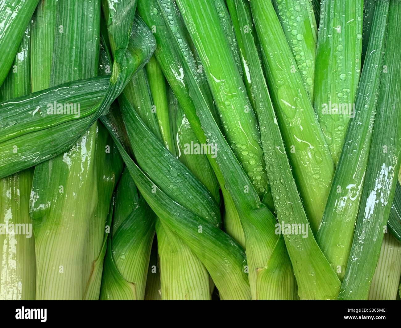 Fresh produce leeks hi-res stock photography and images - Alamy