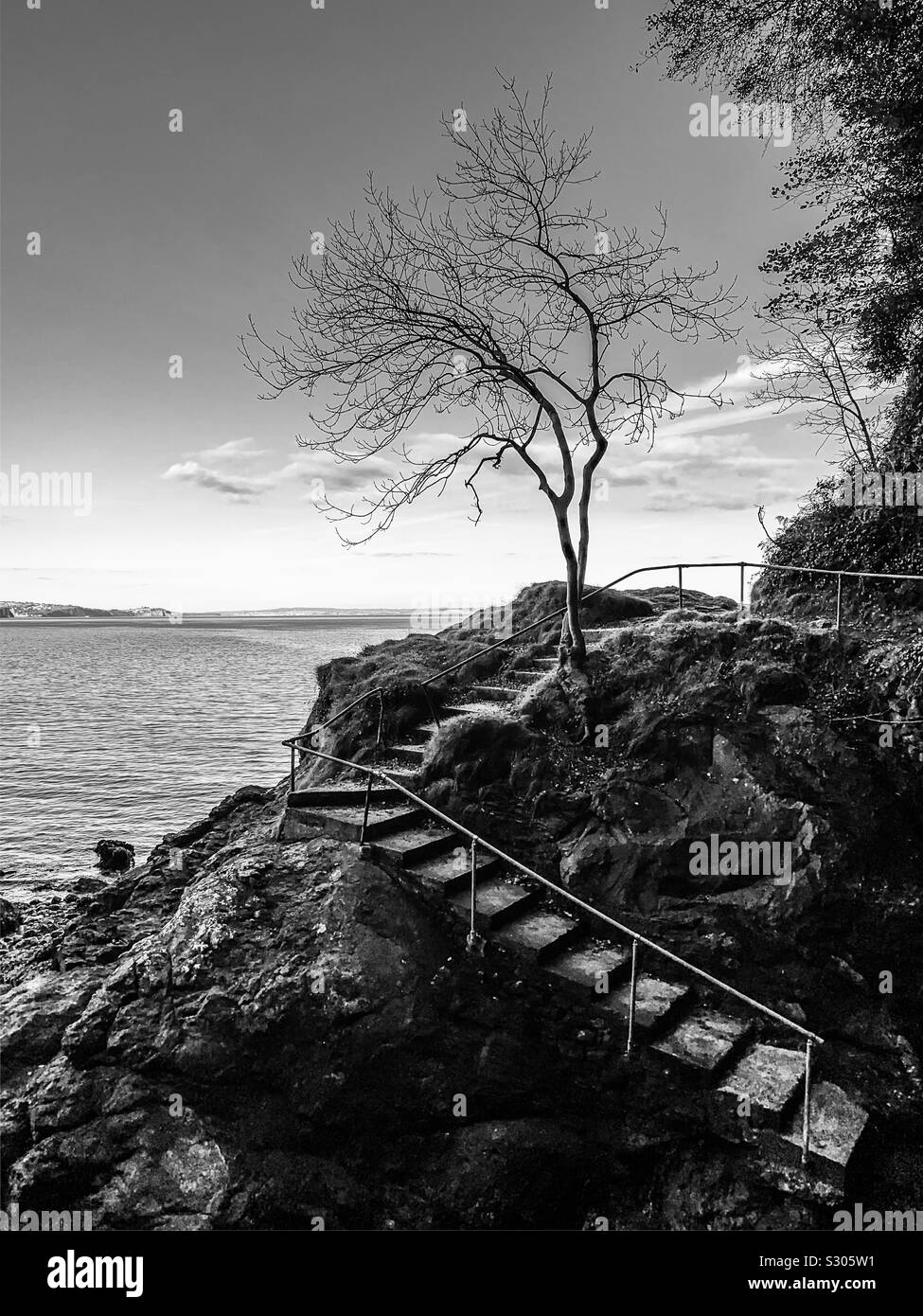 The lonely tree Stock Photo - Alamy