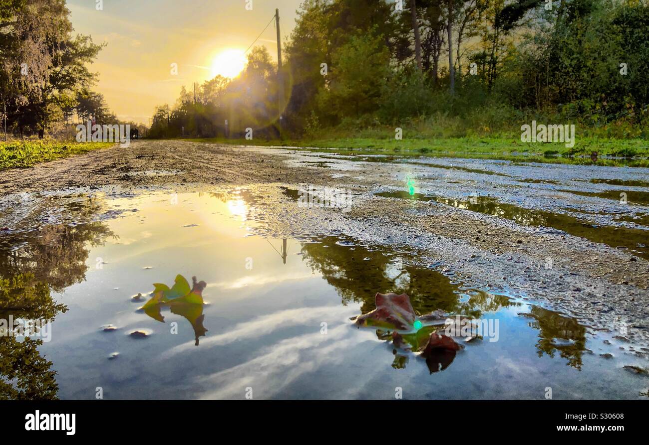 Reflections in puddle of water hi-res stock photography and images - Alamy
