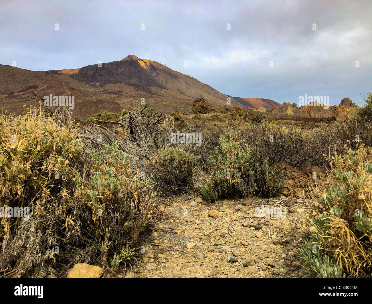 Parque nacional del teide parque nacional hi-res stock photography and ...