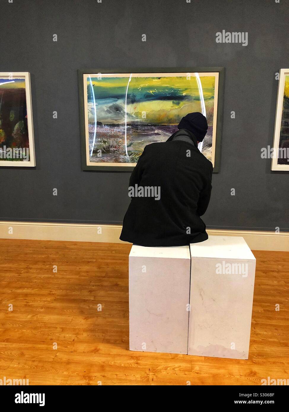 Man looking at a painting in an art gallery Stock Photo - Alamy