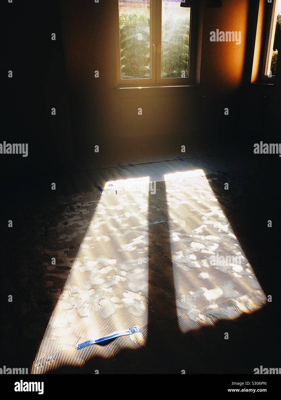 Light sense hi-res stock photography and images - Alamy