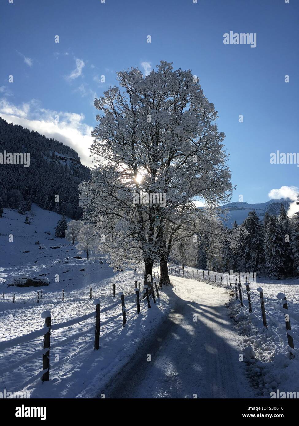 Kiental High Resolution Stock Photography and Images - Alamy