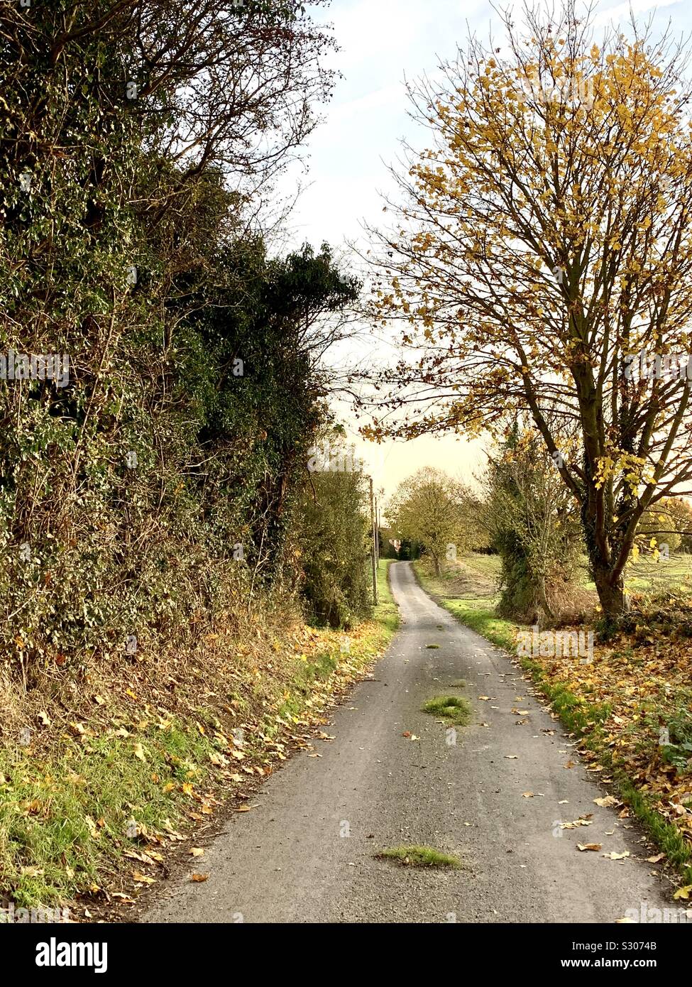 English country lane on an Autumn Day Stock Photo - Alamy