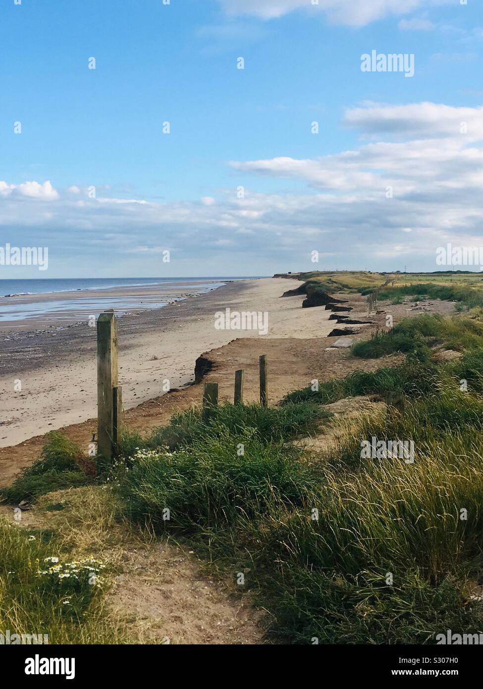 Spurn hi-res stock photography and images - Alamy