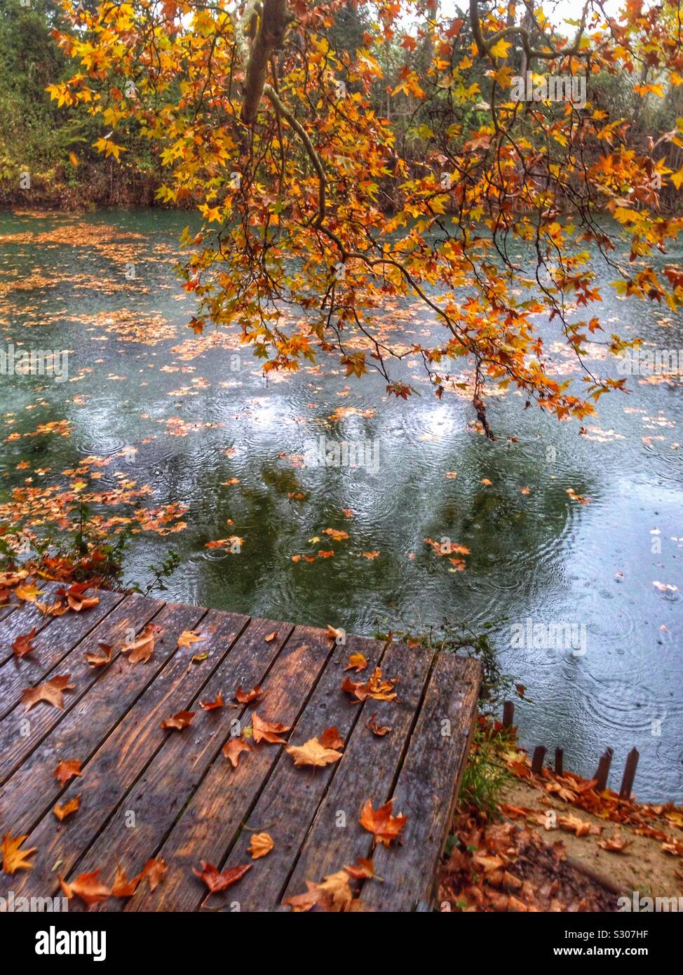 Climate and rain hi-res stock photography and images - Alamy