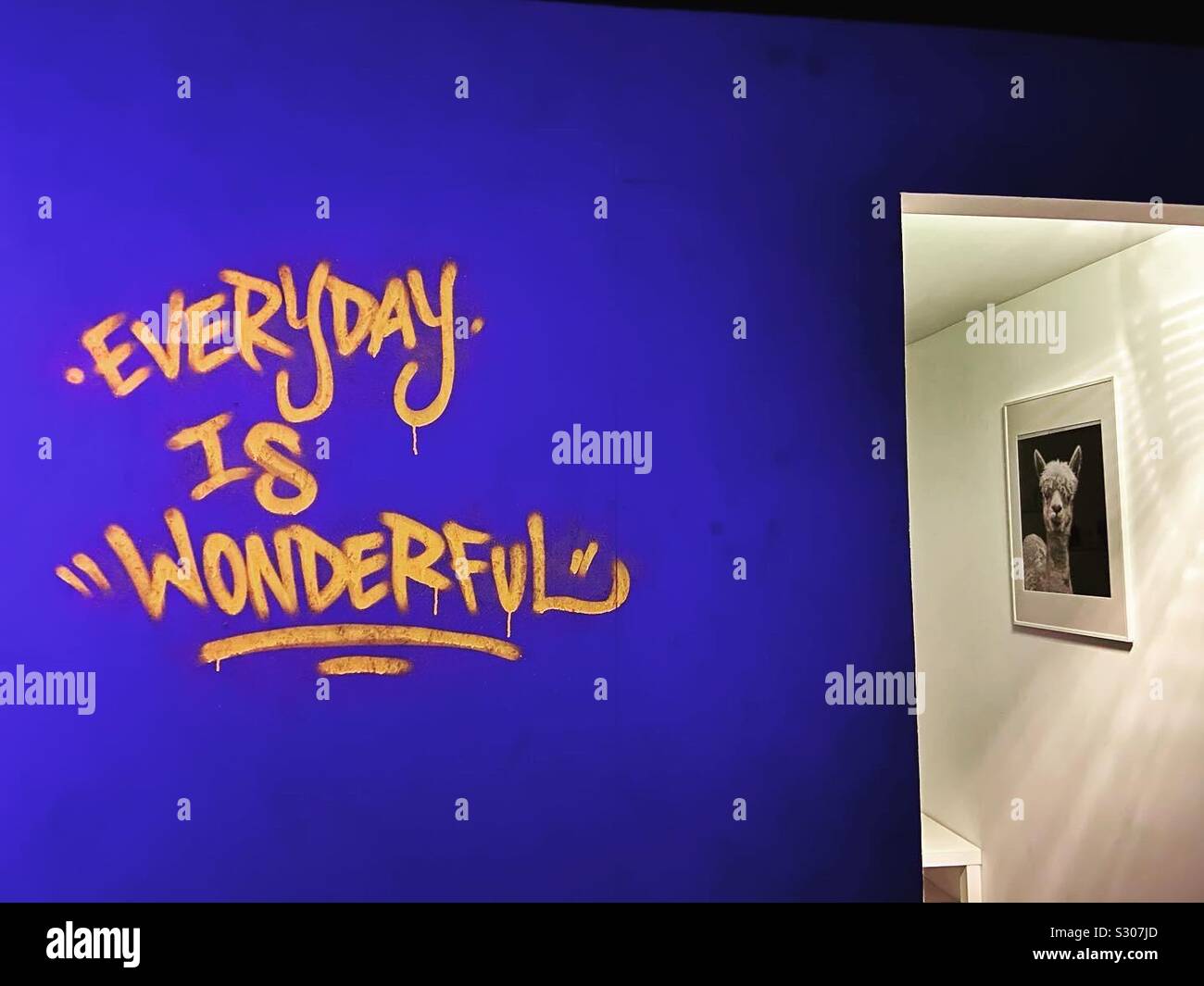 Everyday Stock Photos & Images from Alamy