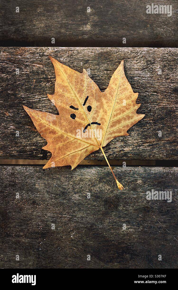 Angry for nature hi-res stock photography and images - Alamy