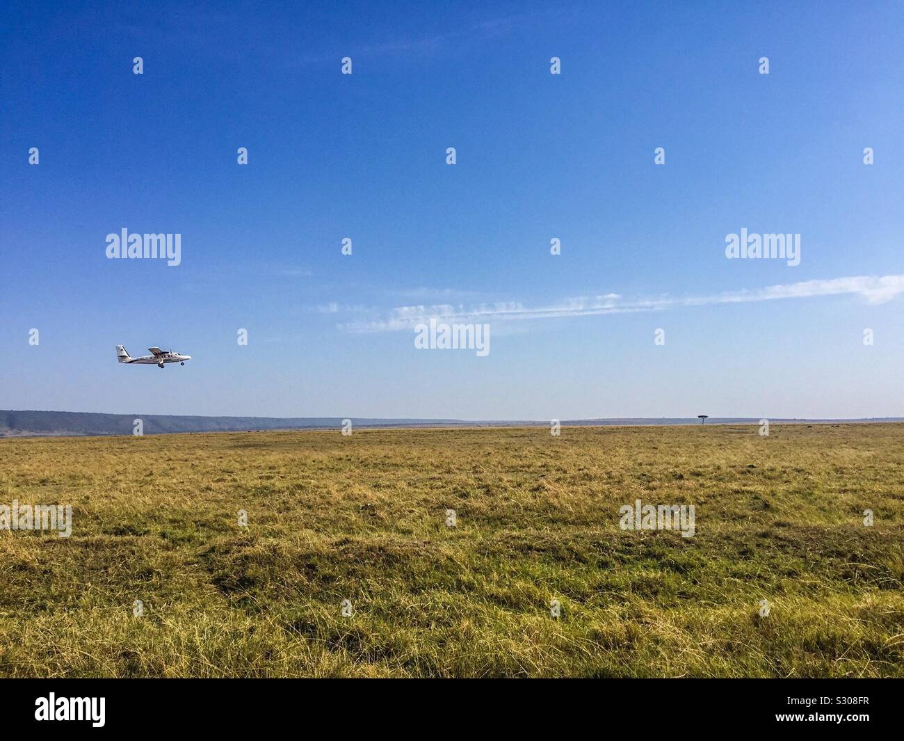 Plane coming into land on the Massai Mara Stock Photo - Alamy