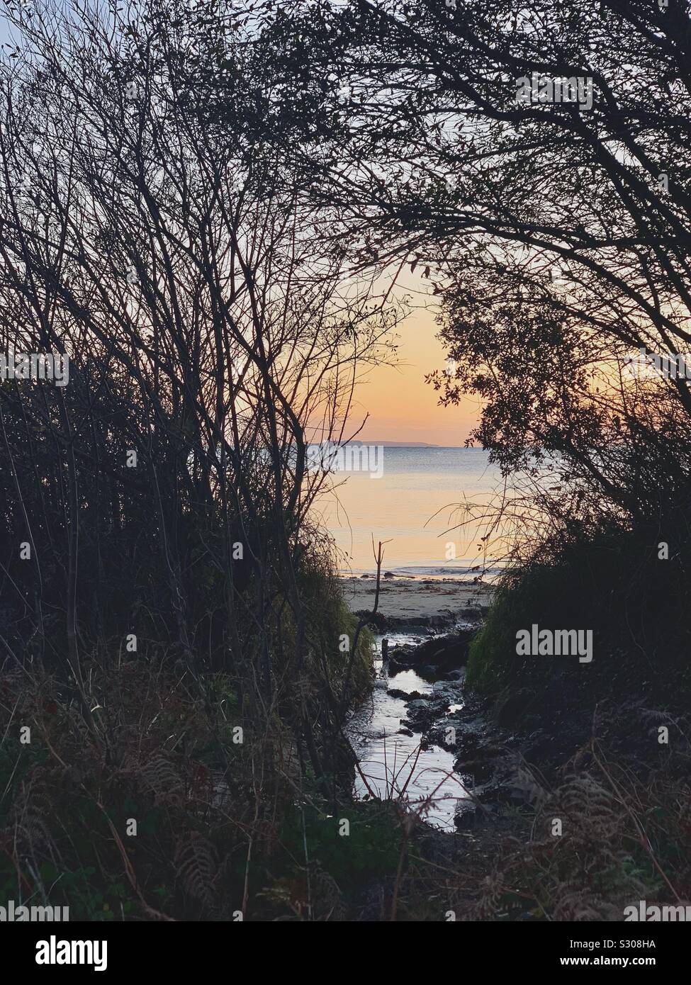 Studland bay national trust hi-res stock photography and images - Alamy